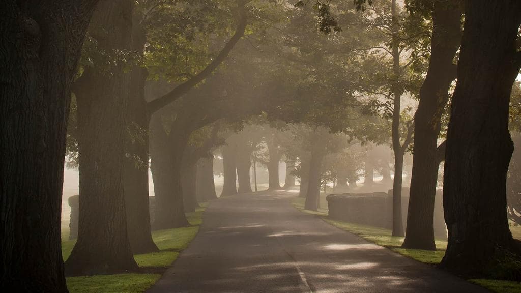 Home - This is Colgate.